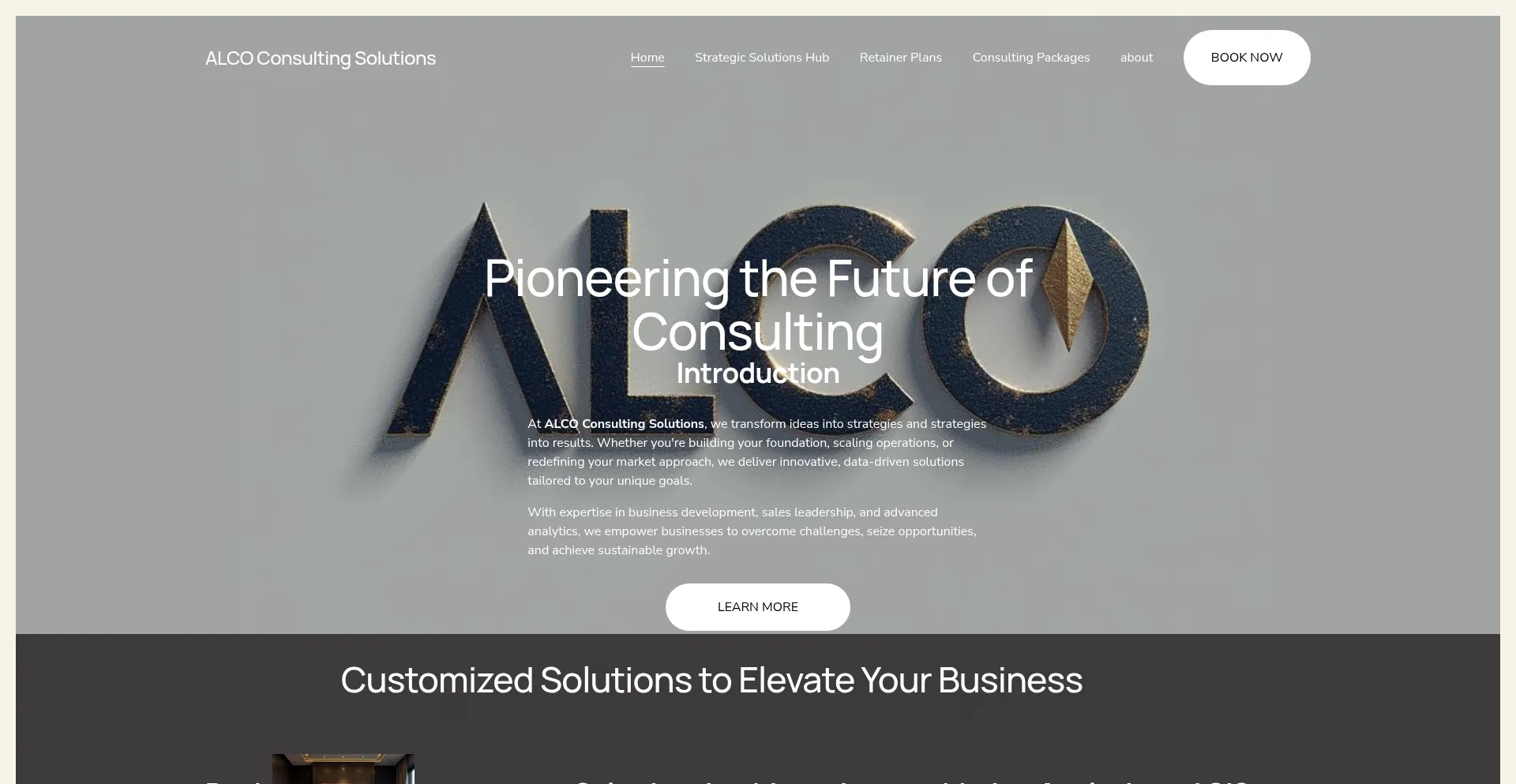 Alcoconsultingsolutions.com Reseñas – ¿És Seguro y Confiable este Sitio?