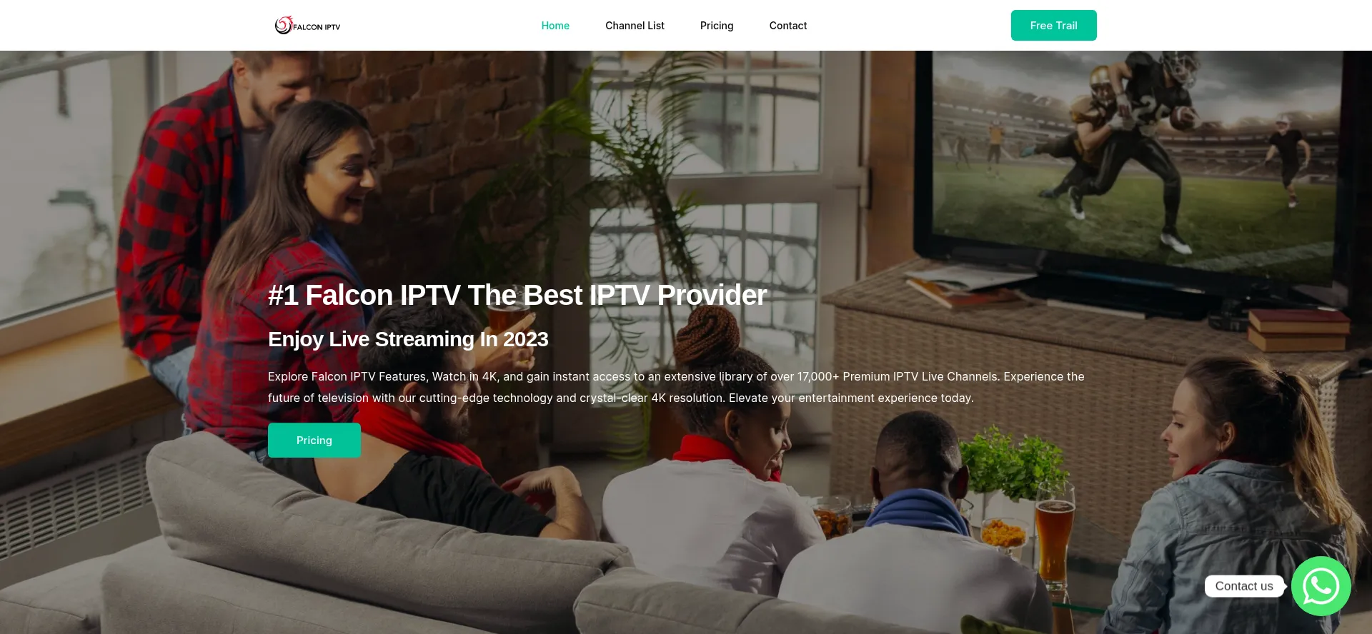 Falcon-iptv.co Reseña: ¿Seguro o sospechoso? Baja confiabilidad 33/100