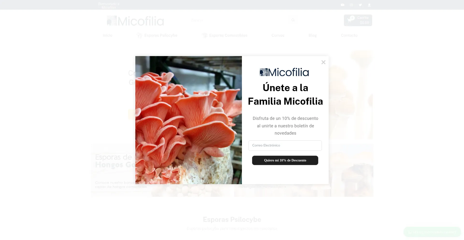 Reseña de Micofilia.com: reputación y revisión de seguridad