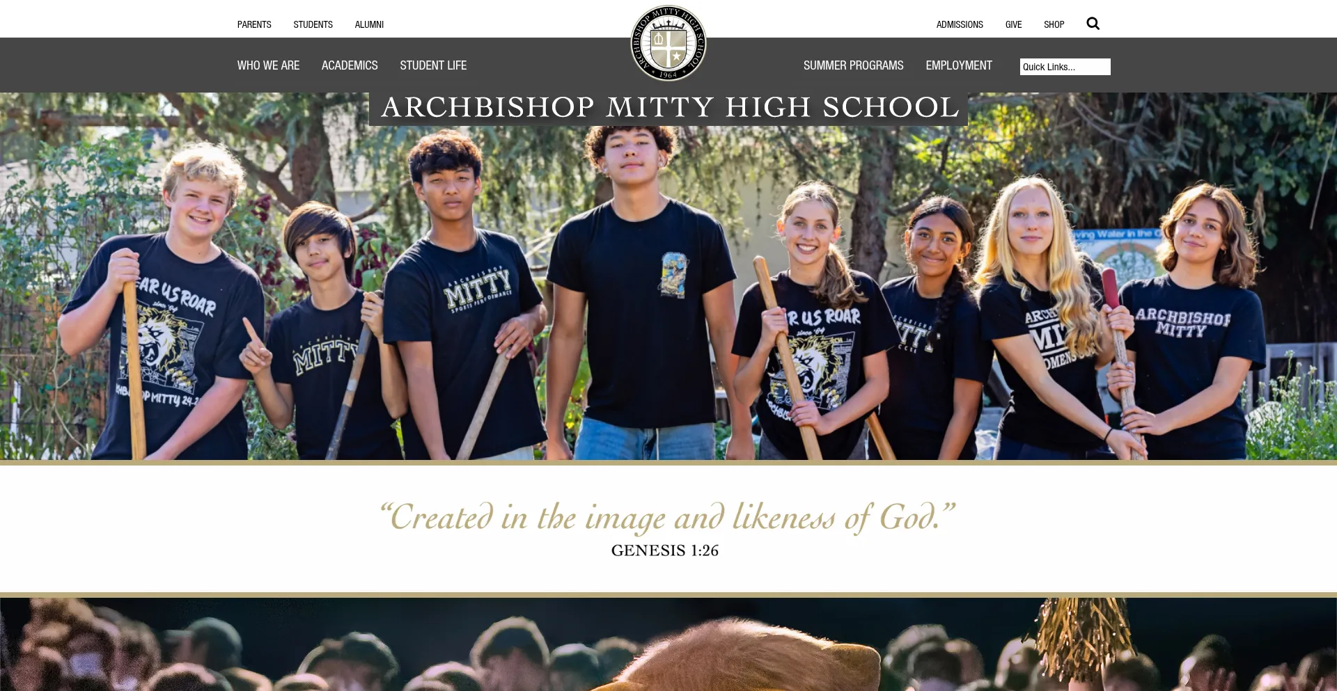 Mitty.com Reseñas – ¿És Seguro y Confiable este Sitio?