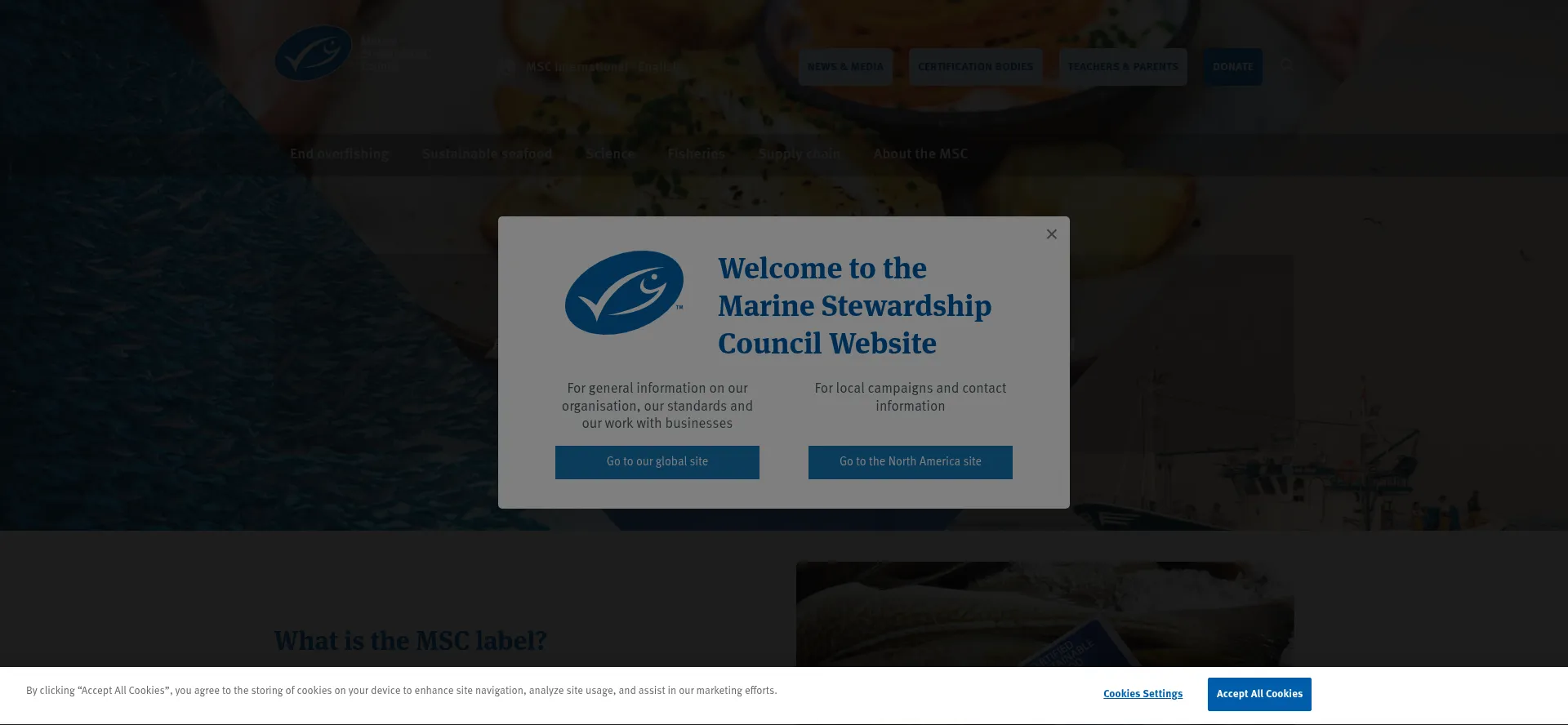 Msc.org Reseñas – ¿És Seguro y Confiable este Sitio?