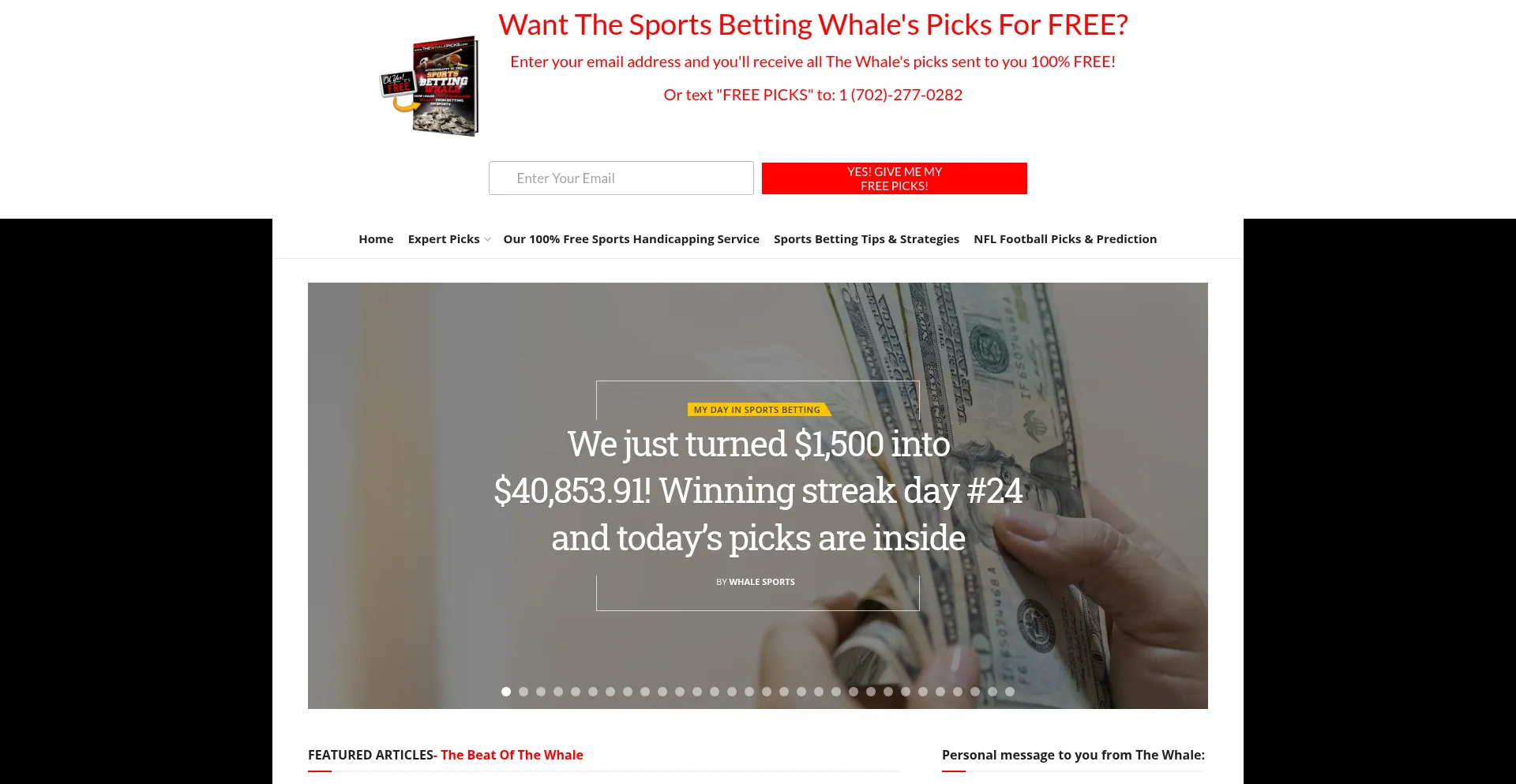 Thewhalepicks.com Reseñas – ¿És Seguro y Confiable este Sitio?