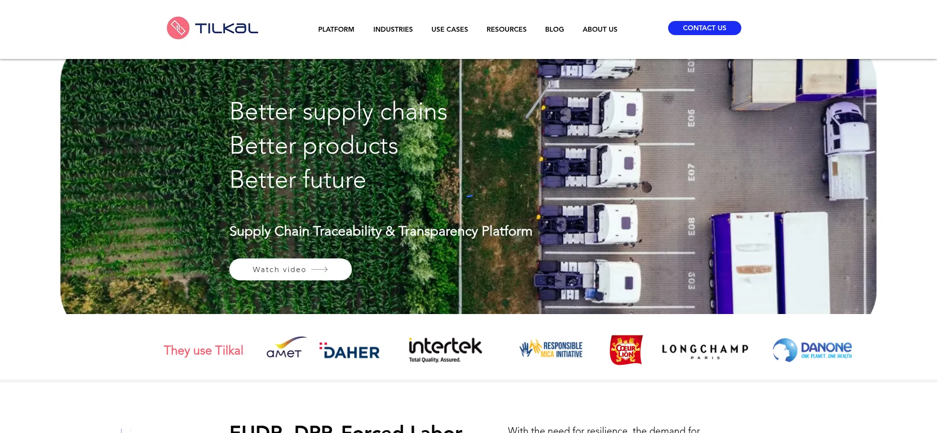 Tilkal.com Reseñas – ¿És Seguro y Confiable este Sitio?