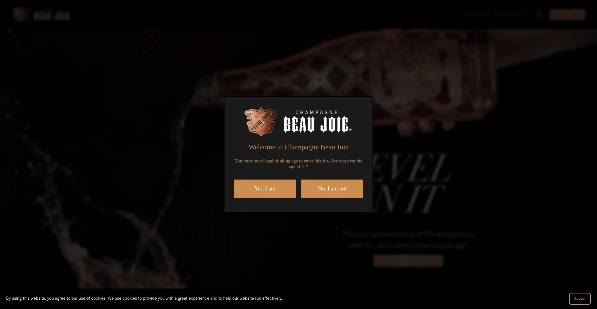 Toastspirits.com Reseñas – ¿És Seguro y Confiable este Sitio?