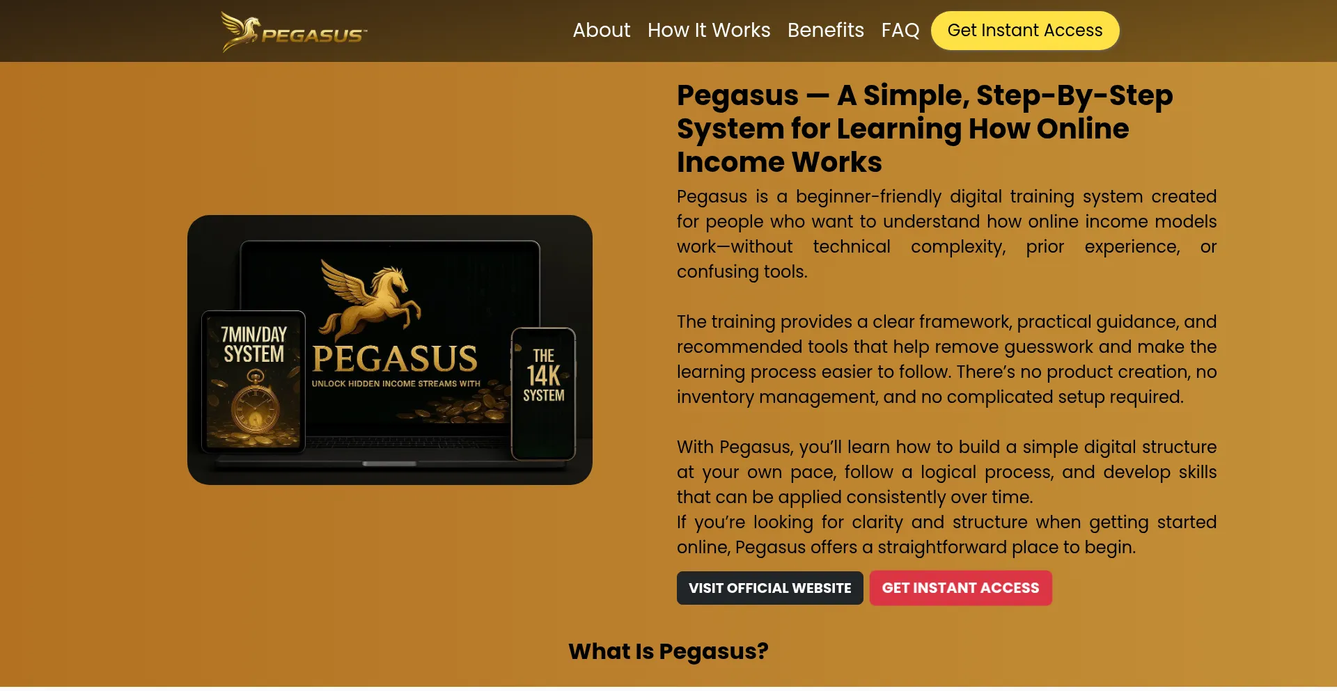 Us-en-pegasus.com Reseñas – ¿És Seguro y Confiable este Sitio?